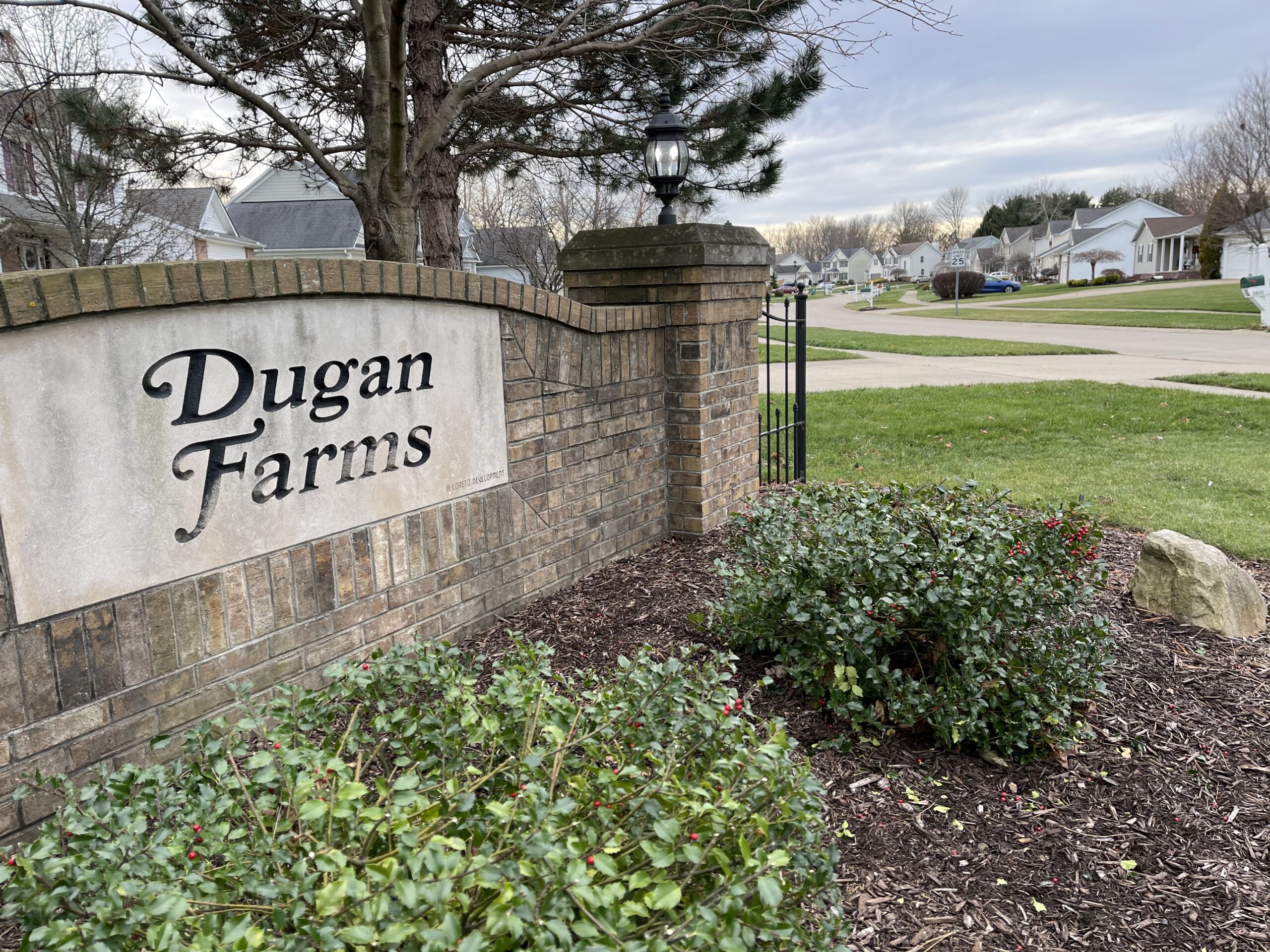 Dugan Farms - Loreto Development